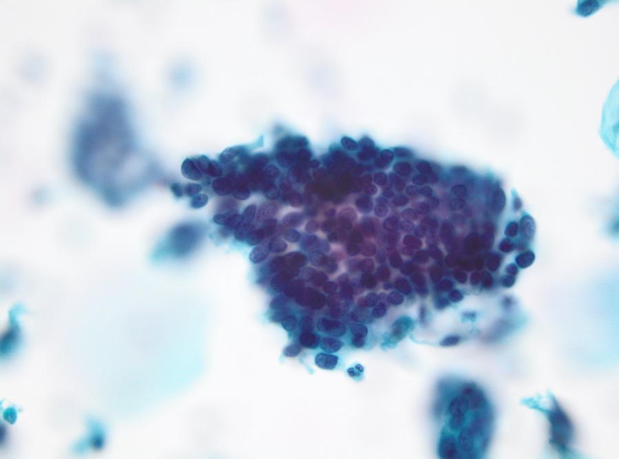 Virtual Pathology eLearning